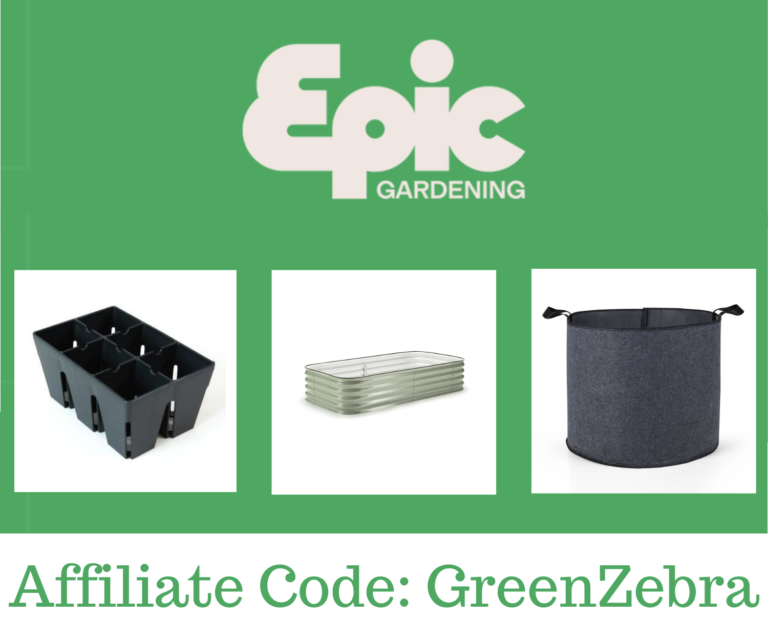 Are You Gardening? Why Not? | Green Zebra Gardening